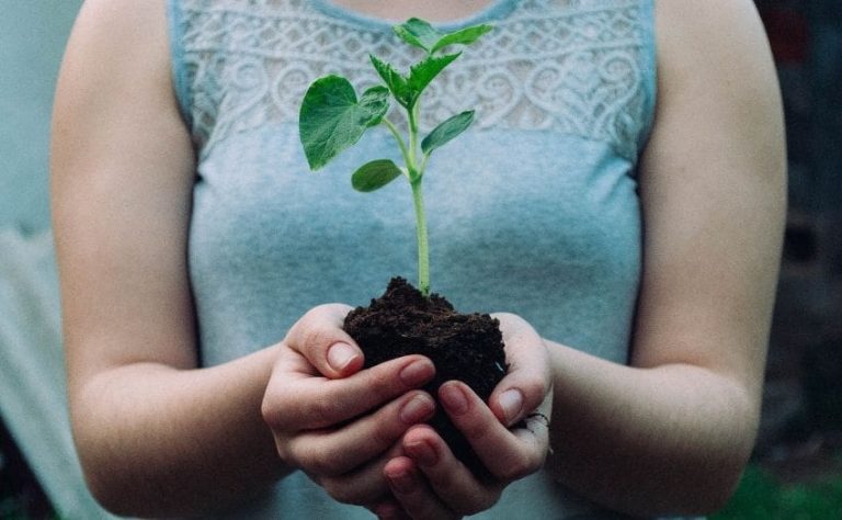 7 Remarkable Things My Mother Taught Me About Life (Free Download)